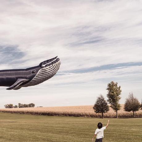 Gaoice Gaobing Github