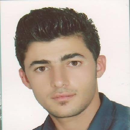 Danarostami Commit Github