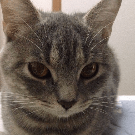 Nekoarwen Arwen Github