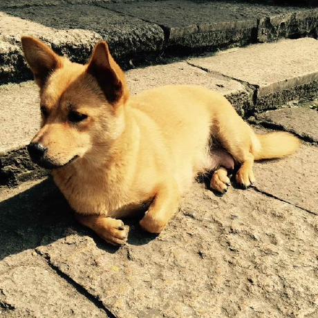 Strikecode Github - 8K Nature Backgrounds for Desktop