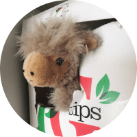 Hamish Bluefruit Github