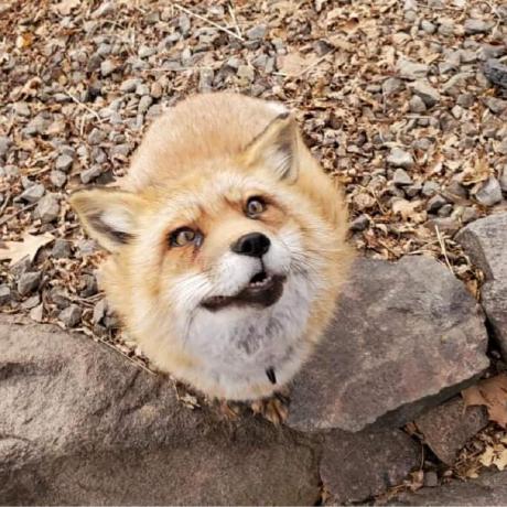 Tirth Patel Nc Tirth Patel Github