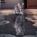 Hanlife Life Key Github