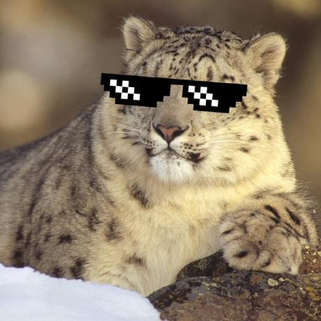 Jwcroft John Croft Github