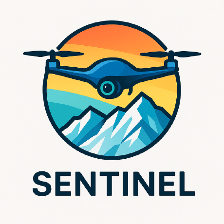 Sentinel Asp Github