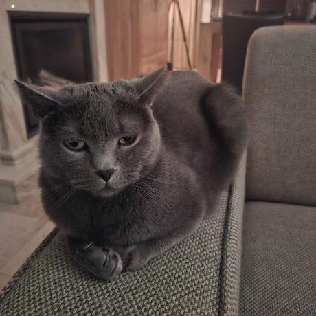 Github Pmagixc Lunagc The Hub Real