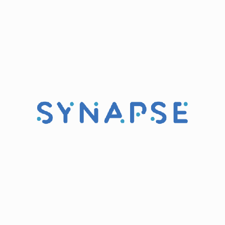 Synapse Github