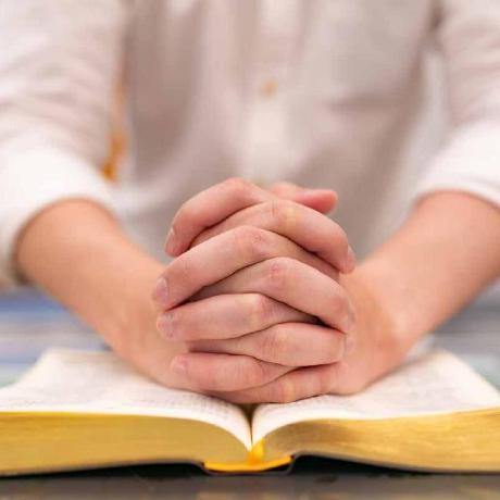 Thailand Tony Github