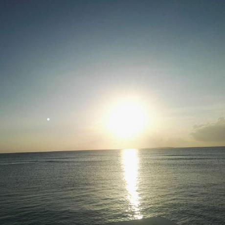 Qdriven Code Revisited Github - Nature Photos - Stunning 8K Collection