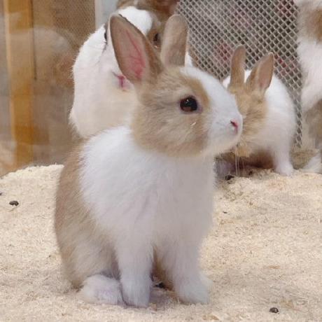 Practice Alone Repositories Github