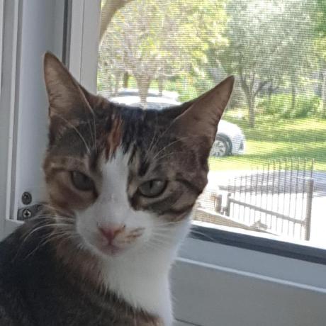 Github Emir Khan Recapproject - Modern Nature Background - Retina