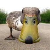 Eugenetang404 Eugene Github