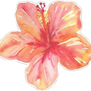 Srishti Organization Github