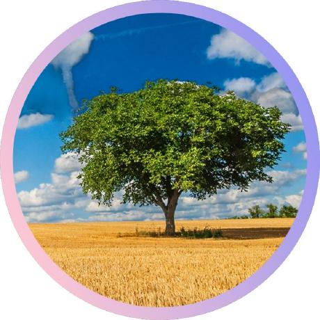 Set Yoshikawa Jun Yoshiakwa Github