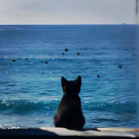 Thanh Dang 03 Github