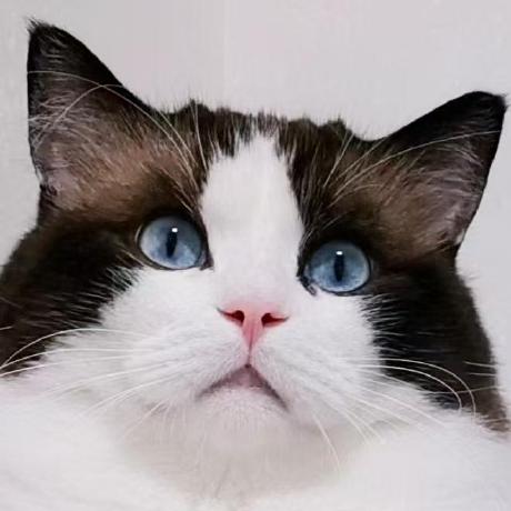 Ethan931226 Ethan Hunt Github