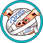 Argozhang Argo Zhang Github