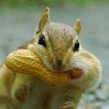 Konstantint Konstantin Tretyakov Github