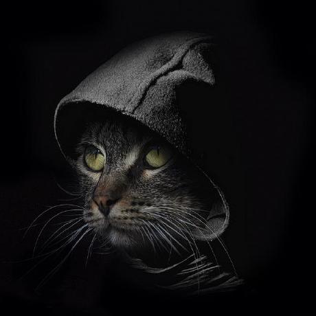 Zoommax Zoommax Github