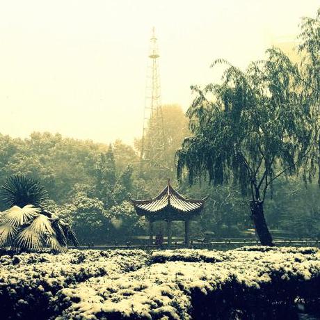 Github Vikyd Chromium History Version Crawler - Incredible Geometric Design - High Resolution