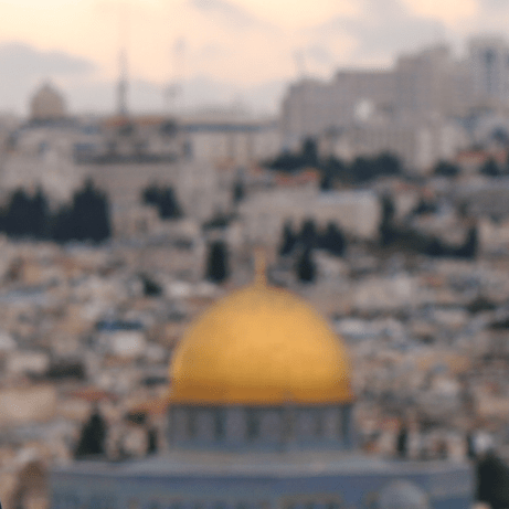 Saifimasum Cell Github