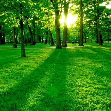 Natureofnature Nature Github