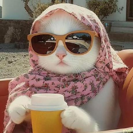 Biancavitoriah Bianca Vitória Github