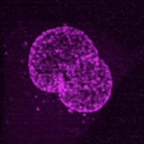 Scott Vision Scott Github