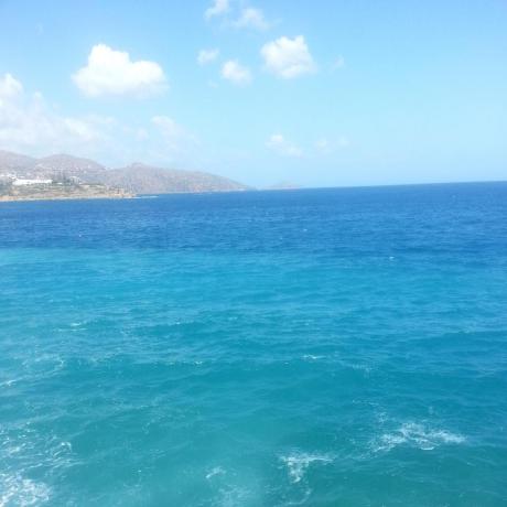 Dragon Alina Alina Github