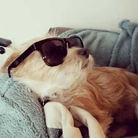 Gcmurphy Grant Murphy Github