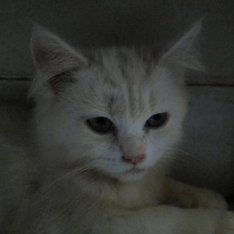 Danangstdi Danang Setiadi Github - Creative 4K Space Wallpapers | Free Download