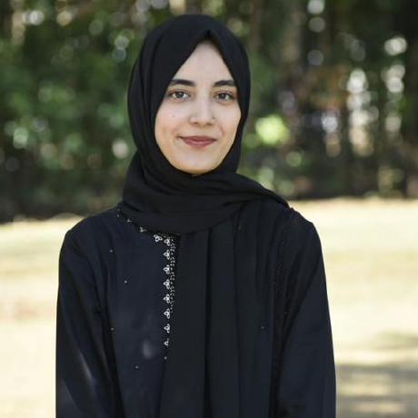 Aina Ds Aina Azhar Github