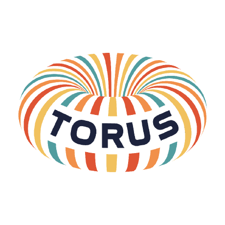 Torus Bristol Github