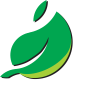 Livingleaf Living Leaf Github