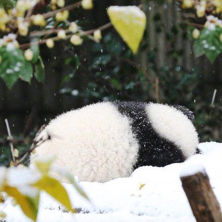 Github Csliuwei Mi Plot - Premium Landscape Background - HD