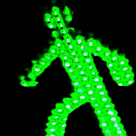 Tomcode Thomas Traub Github