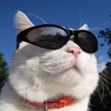 Brendanli Hub Brendan Li Github