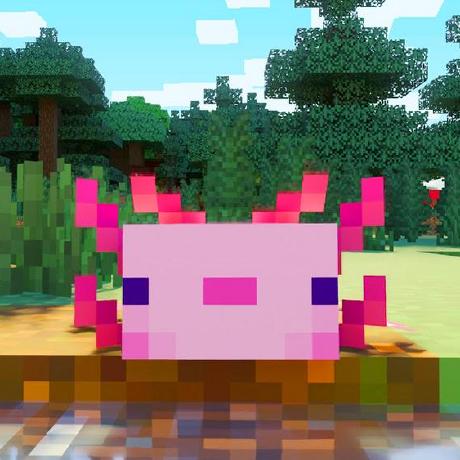 Frank Gar20 Francisco Github