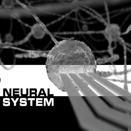 Nsys Platform Github