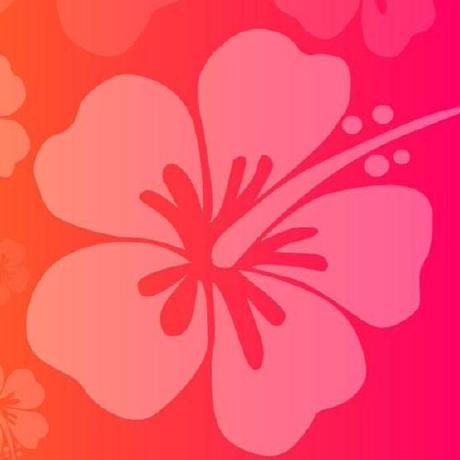 Jayden Wilson19 Jayden Wilson Github