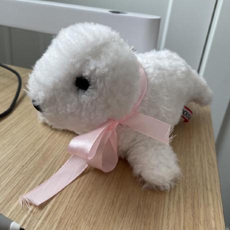 Zephyo Angela He Github