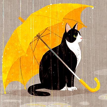 Idrees Habibi Github - 8K Ocean Designs for Desktop