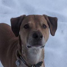 Jochenunger Jochen Unger Github - High Resolution Geometric Illustrations for Desktop