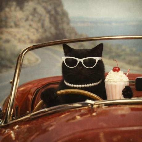 Ishika Guptaa25 Ishika Gupta Github