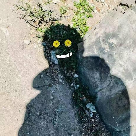 Felix010812 Felix Github