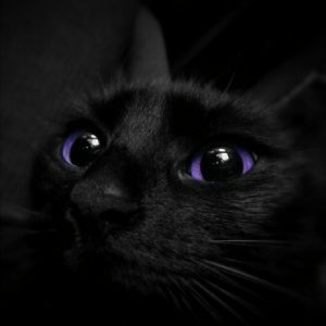 Trucknorris Alpha Github