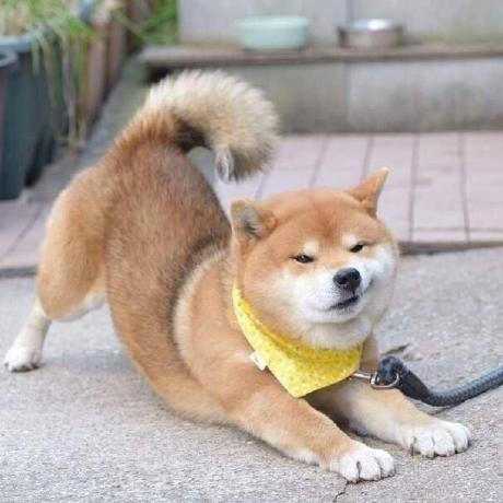 Hitchao Ma Chao Github