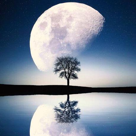 Luisoliveira1989 Sys Github