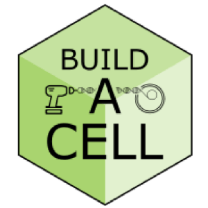 Build A Cell Github