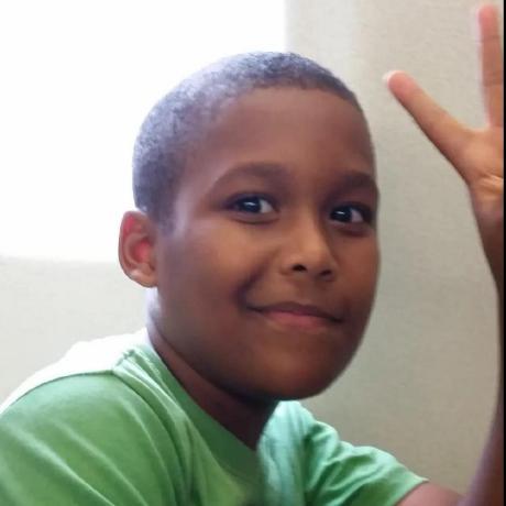 Destroyer0962 Dev Github